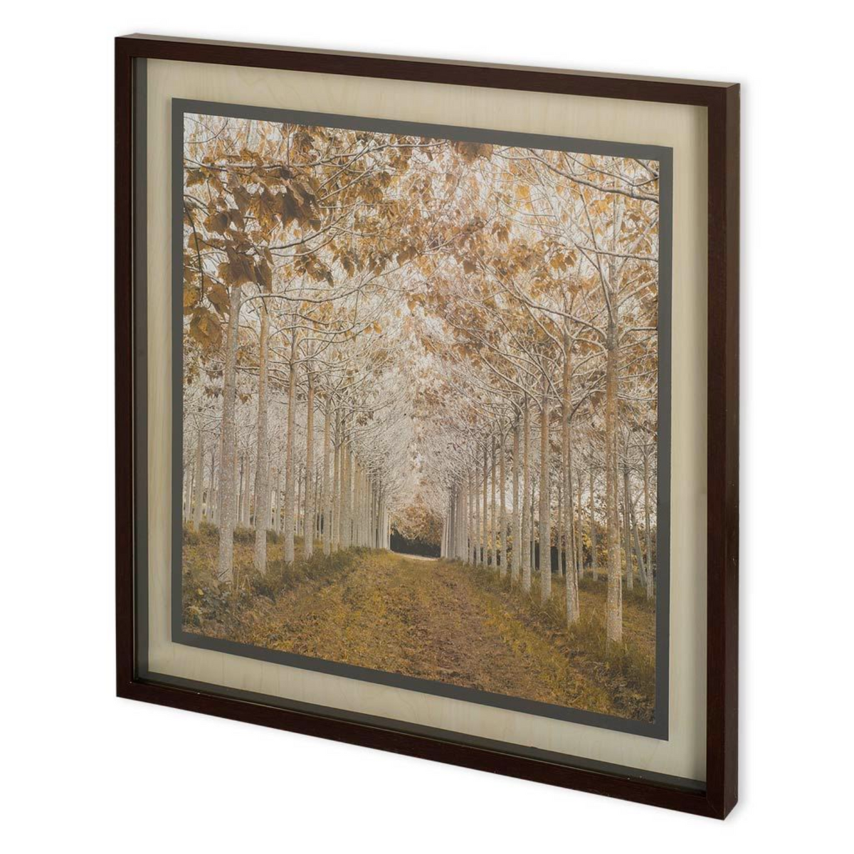 White Gold Framed Wall Art – The Tin Roof