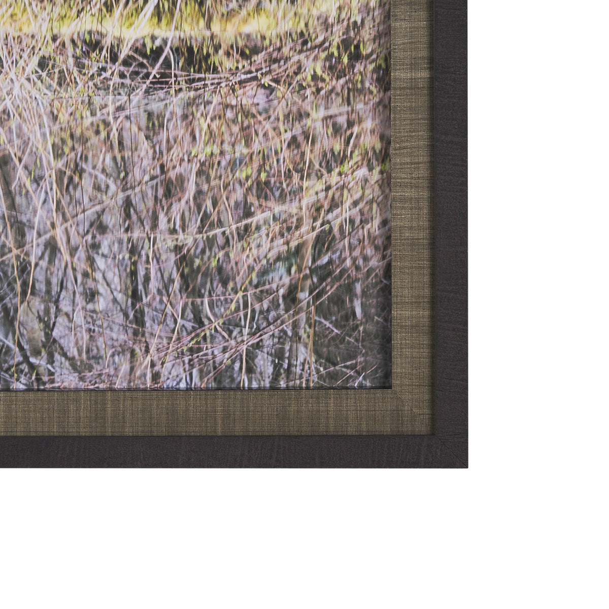 Branchscape Moss – The Tin Roof